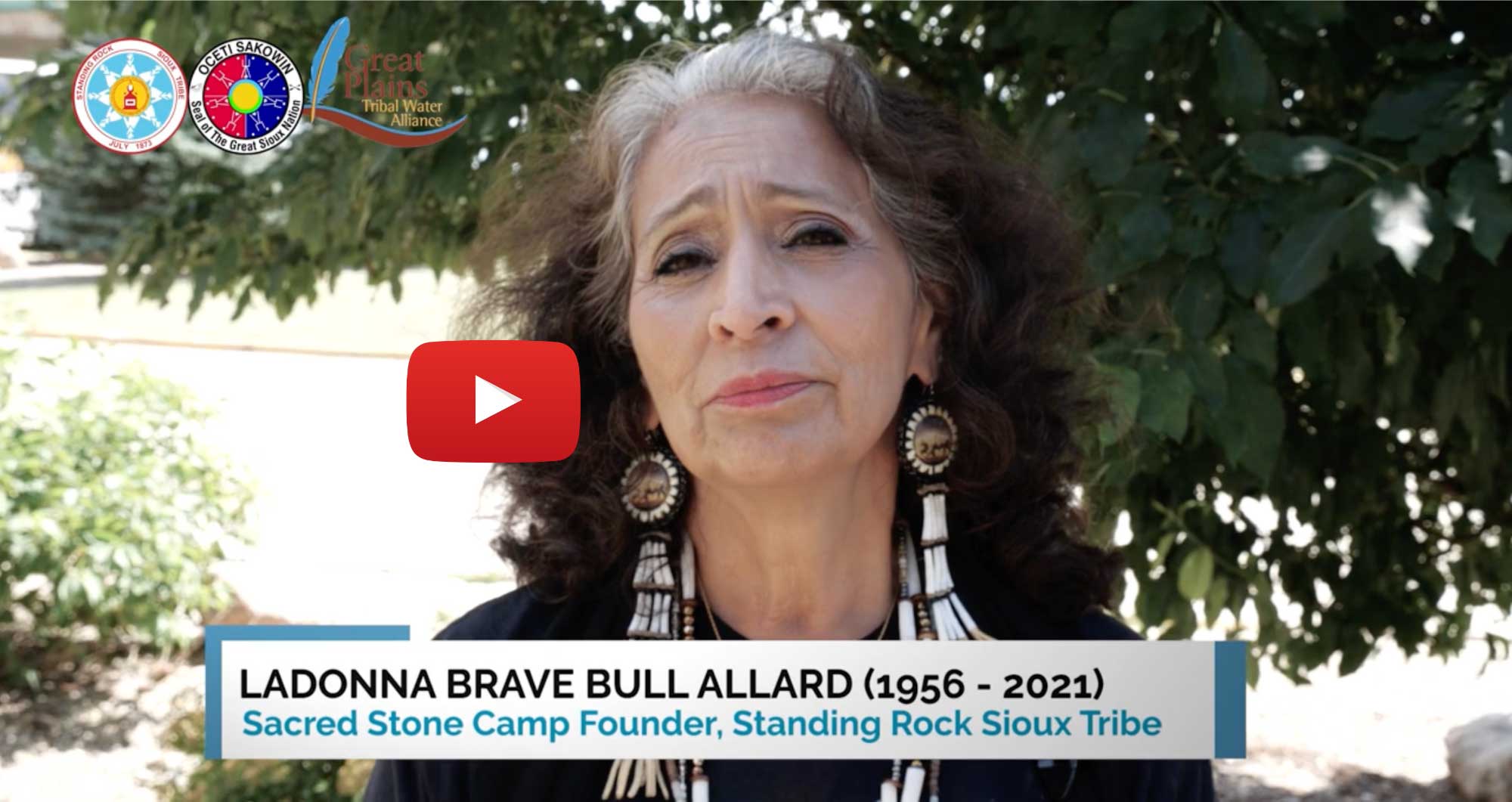 Dakota Water Wars Chapter Seventeen Nodapl Origins Standing Rock